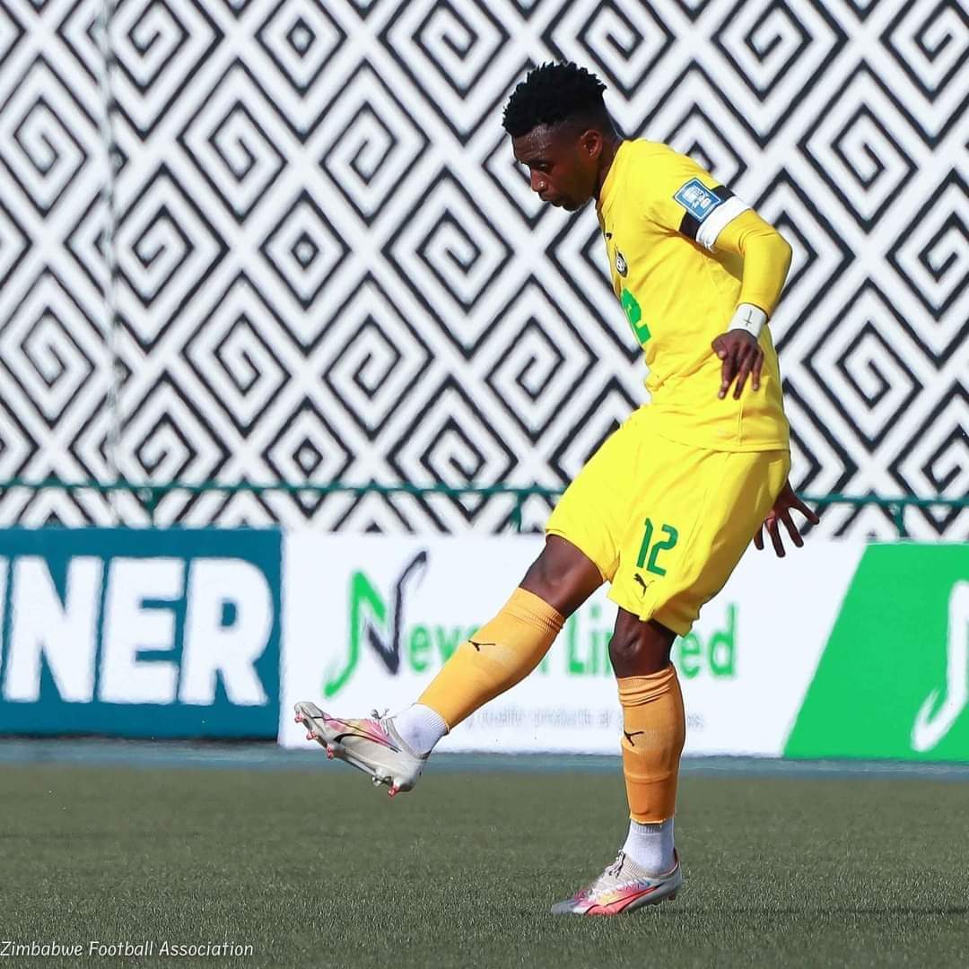 "Beautiful goal": Knowledge reacts to Walter's cracker against Nigeria ...