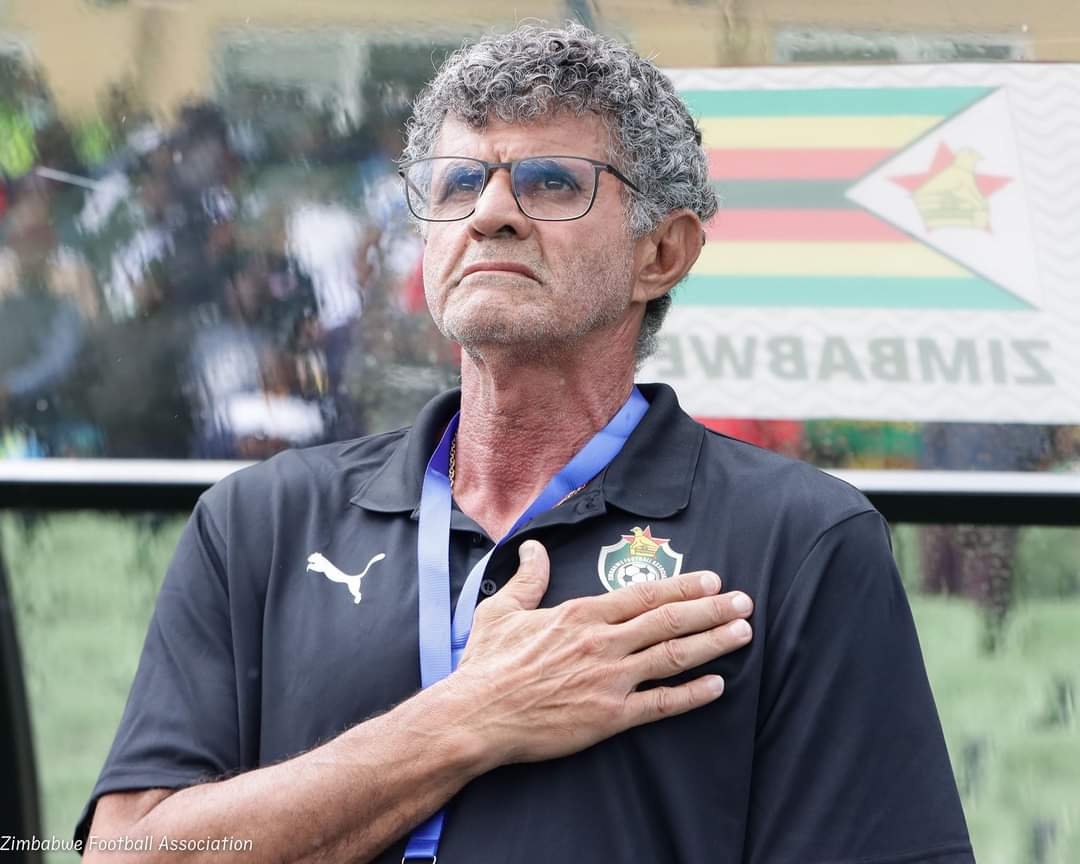 Brito to focus on Warriors only... coach's Highlanders contract will ...