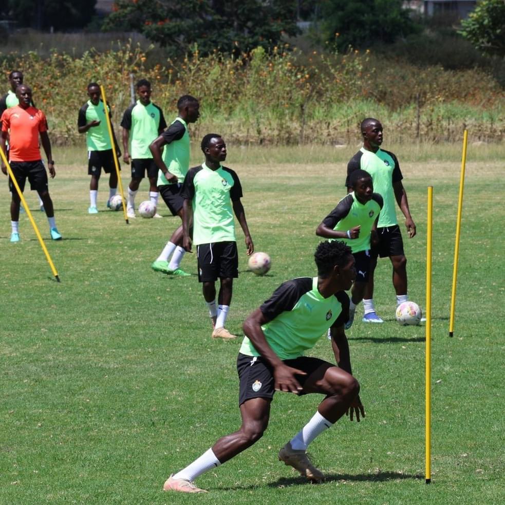 Dynamos and Herentals youngsters dropped from Young Warriors squad due ...