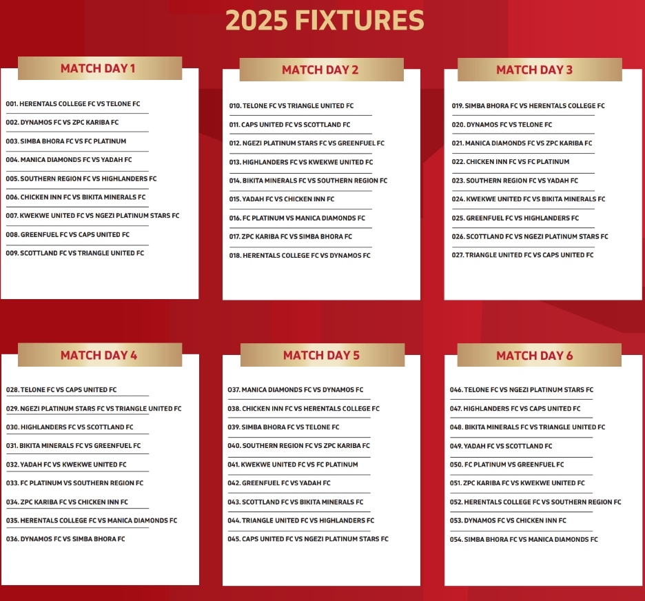 PSL announces fixtures for 2025 Castle Lager Premiership season - Soccer24