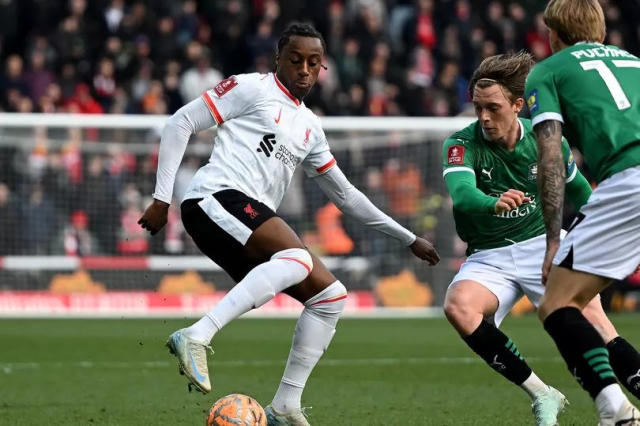 Zimbabwe's Liverpool pair unlikely to receive automatic EPL winners ...