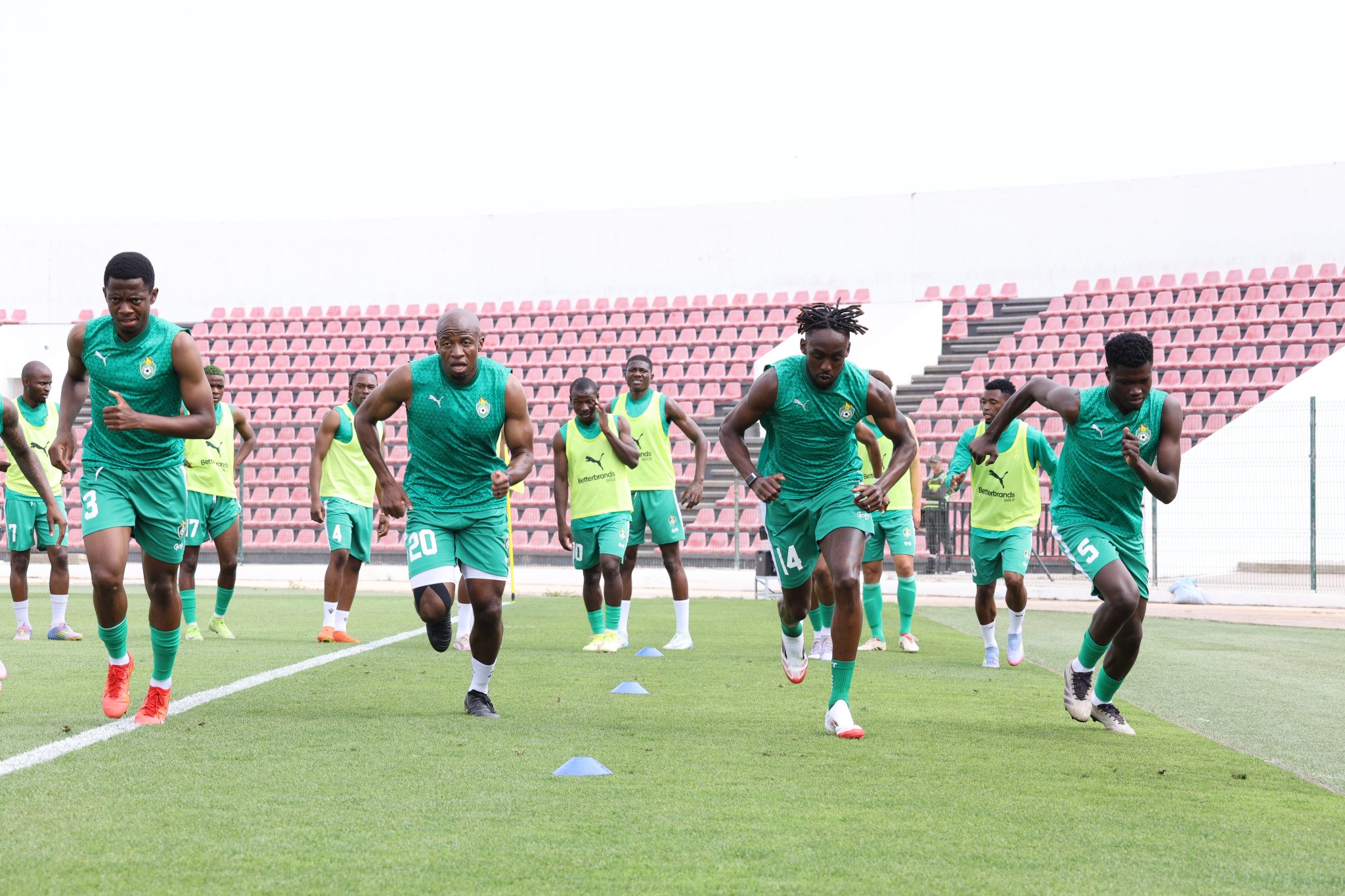 Confirmed details for Zimbabwe vs. Niger friendly match - Soccer24